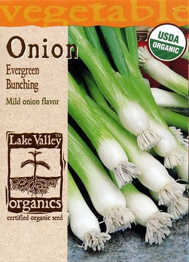 All Departments - ORGANIC GREEN ONION EVERGREEN